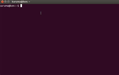 c言語入門 コンパイルと実行 gnu compiler collection（gcc） linux環境 webkaru