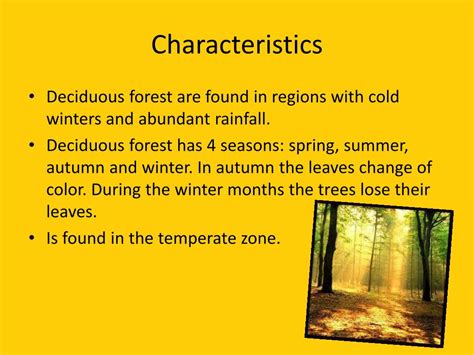 Ppt Deciduous Forest Powerpoint Presentation Free Download Id 2336174