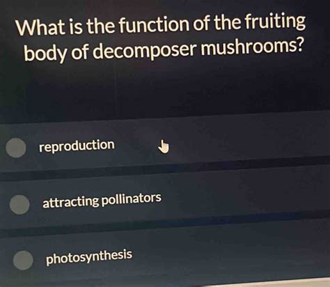 Solved What Is The Function Of The Fruiting Body Of Decomposer Mushrooms Reproduction