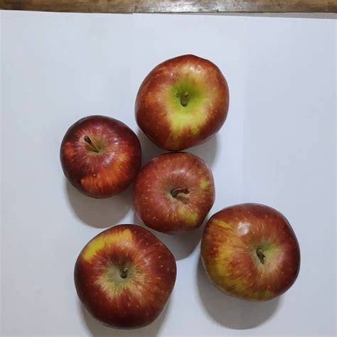 Capstoneproject Capstoneproject Dkauz Roboflow Universe