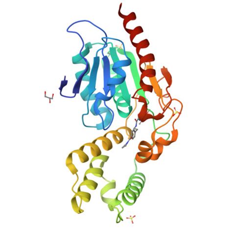 Rcsb Pdb 8q17 Identification And Optimisation Of Novel Inhibitors Of The Polyketide