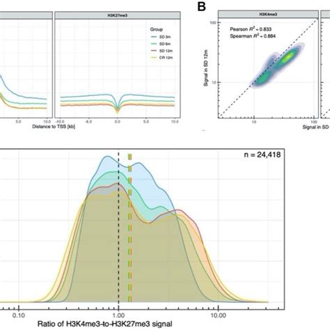 Genome Wide Correlation Patterns Between Histone Modifications By