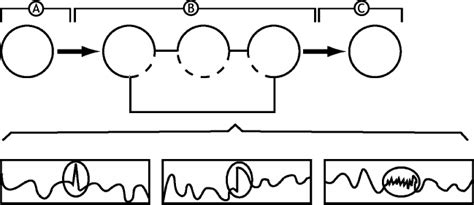 Partial Occlusion