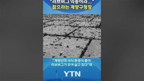 국민들도 좀 참을 줄 알아야 한다” 발언 논란 네이버 Tv