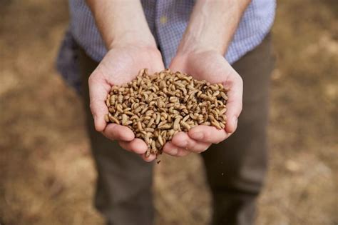 Shauvik Roy Choudhary On Linkedin Please Vote For A Fellow Georgiatech Techstars Atdc