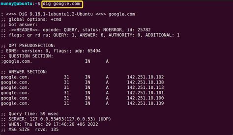 the “dig” command in linux [10 practical examples]