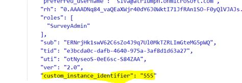 custom static claim in jwt token microsoft qanda