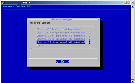 using the btrfs filesystem with raid1 with ubuntu 12 10 on a hetzner