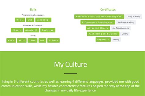 Ahmed Soliman Web Developer