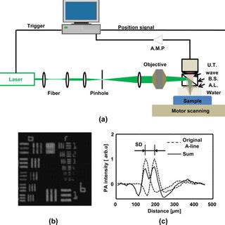 Experimental OR PAM System A Schematic Of The OR PAM System Download Scientific