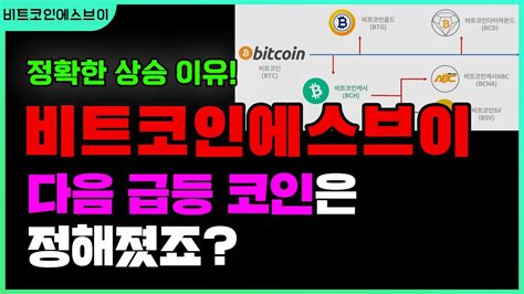 비트코인에스브이 정확한 상승 이유 다음 급등 코인은정해졌죠 비트코인에스브이시세 비트코인에스브이호재 비트코인에스브이속보 Youtube