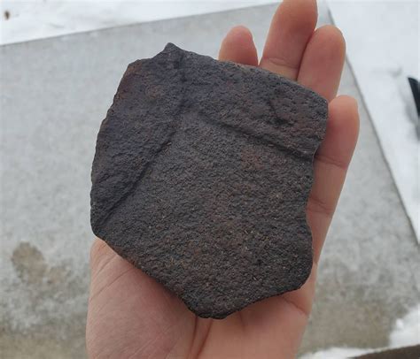 Monstrous Fossilized Turtle Shell Section Florida Fossil Etsy