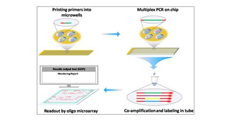 Macro A Combined Microchip Pcr And Microarray System For High