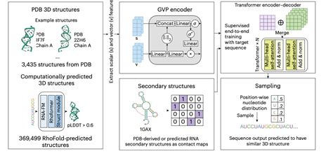 rna structure prediction and design with large language model based