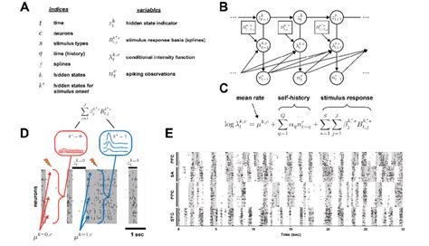 Hidden Markov Model Used For Estimating Spiking Stimulus Responses In