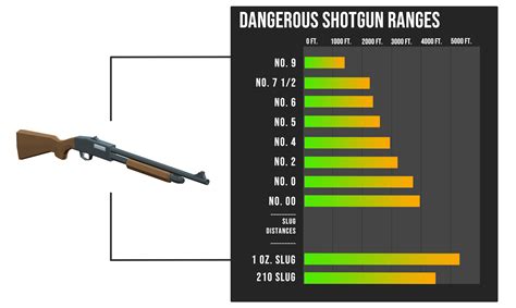 Shotgun Gauge Explained