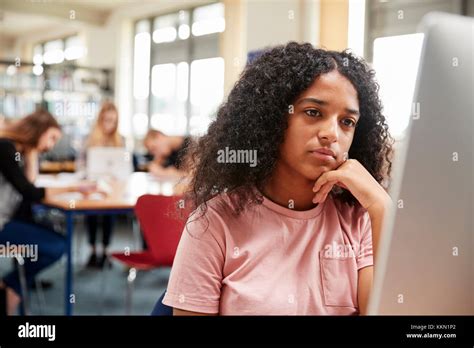 Female Babe Working On Computer In College Library Stock Photo Alamy