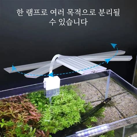 수족관 Led 조명 수생 식물을 위한 밝고 다양한 기능성을 갖춘 램프 장점 단점 비교