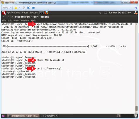 Perl Lesson 4 Using IF ELSE Statements To Examine Strings