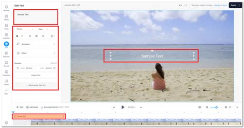 How To Add Text To Your Video On Desktop Online IPhone
