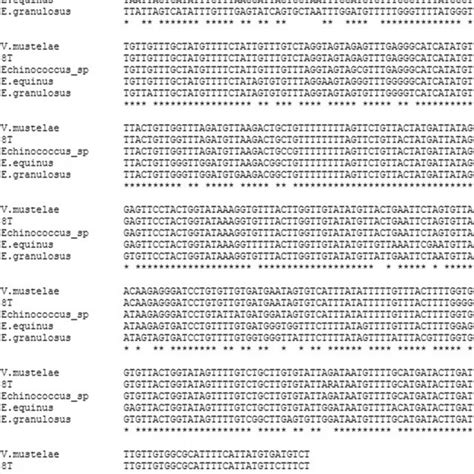 Clustalw Multiple Alignment Of N8 Fluke Isolate Coi Sequence Genbank Download Scientific