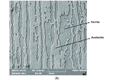 Microstructure Of The Bm A Mo × 200 B Sem × 1000 Download