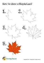 How To Draw Maple Leaf Idea Step By Step Drawing Photos