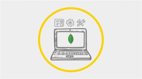 Working With Mongodb