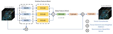 Hyperspectral Image Reconstruction Based On Blurkernelprior And