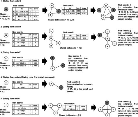detecting protein complexes network searching process for each node