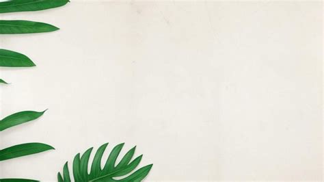 Monstera Leaf Frame On Grid Paper Background Premium AI Generated Image