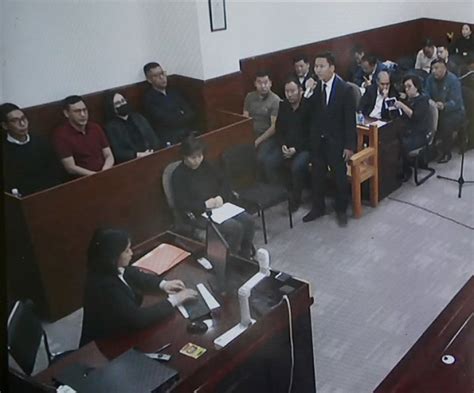 Т Аюурсайхан Б Ганхуяг нарын 11 хүнд холбогдох гэм буруугийн шүүх хурал эхэллээ