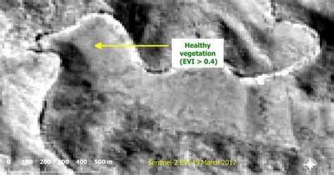 A Enhanced Vegetation Index Evi Of Sentinel 2 Imagery Of 19 March Download Scientific