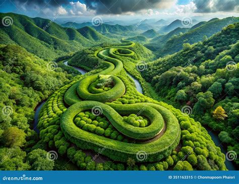 Mastering Programming Languages A Comprehensive Overview Of Python Java