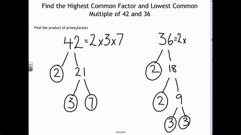 Lowest Common Factor Worksheet