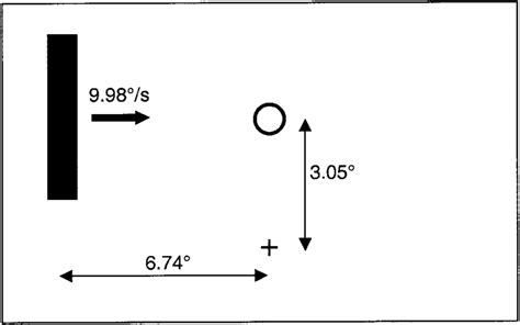 An Example Of The Stimulus Display While Participants Fixated The