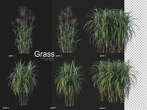 Premium Psd Various Types Of Grass Rendering