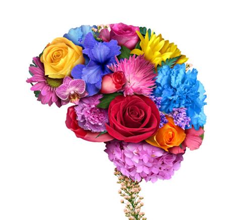 2200개 이상의 감정 기복 스톡 사진 그림 및 Royalty Free 이미지 Istock