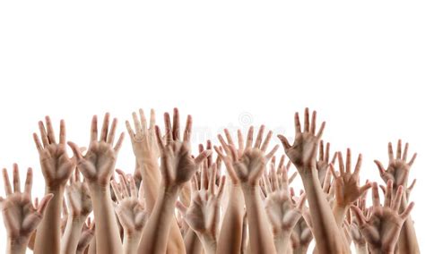 Руки много людей вверх изолированные на белизне Стоковое Изображение изображение насчитывающей