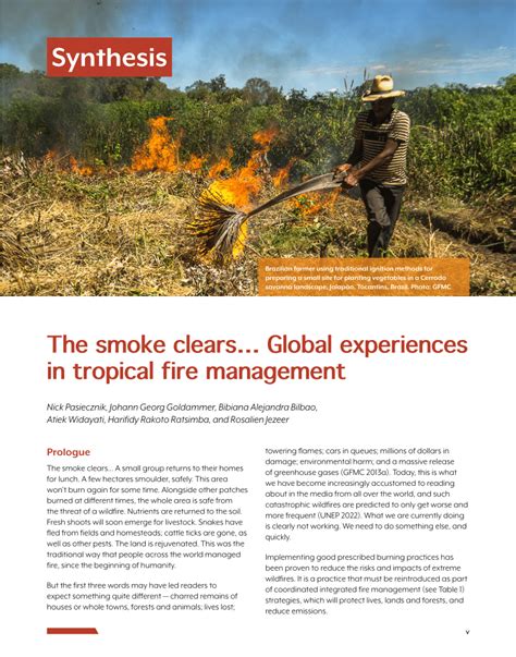 Pdf The Smoke Clears Global Experiences On Tropical Wildfire Management