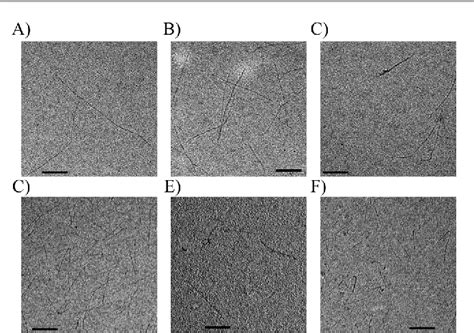 Figure 1 From Dna Origami Templated Self Assembly Of Discrete Length