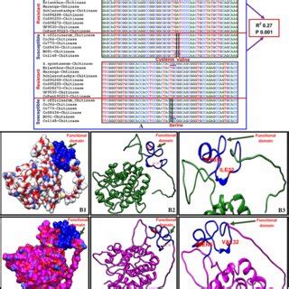 Multiple Nucleotide Sequence Alignment A And Predicted Homology Download Scientific Diagram