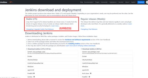 jenkins部署及持续集成 csdn博客