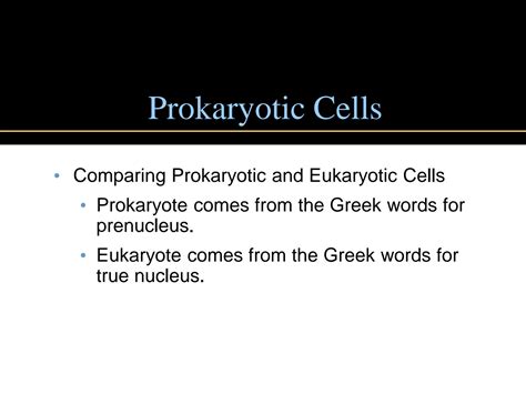 Solution Functional Anatomy Of Prokaryotic And Eukaryotic Cells