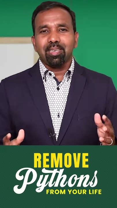 Remove Pythons From Your Life Shorts Youtube