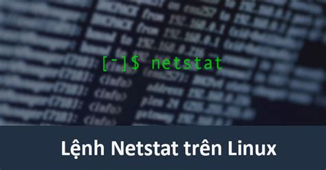 Top 10 Examples Of Netstat Commands On Linux