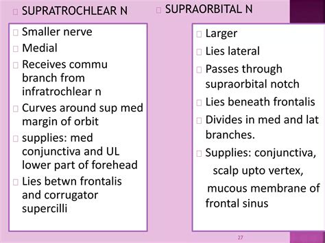 Trigeminal Nerve And Its Importance In Max Fac Surgery Pptx