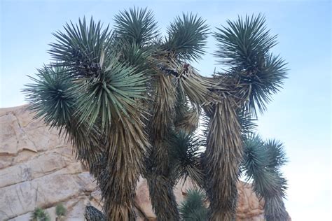 Click To Enlarge Map