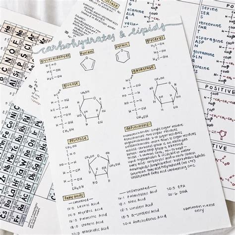 📋 Напоминалка для тех, кто сдаёт экзамены: | Biochemistry notes, Study ...
