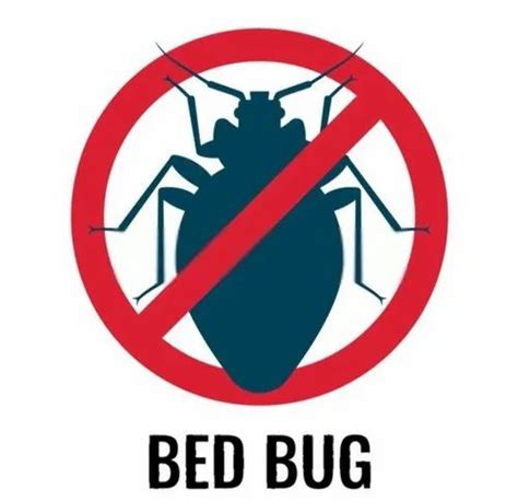 Bed Bug Pest Control Service At ₹ 3 Sq Ft In Varanasi Id 25489717755